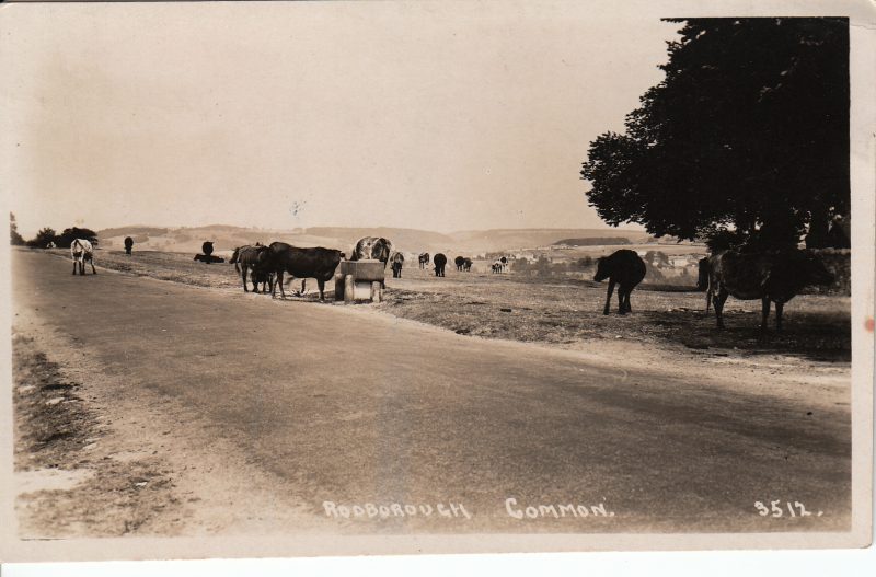 Rodborough Common – Remembering Rodborough
